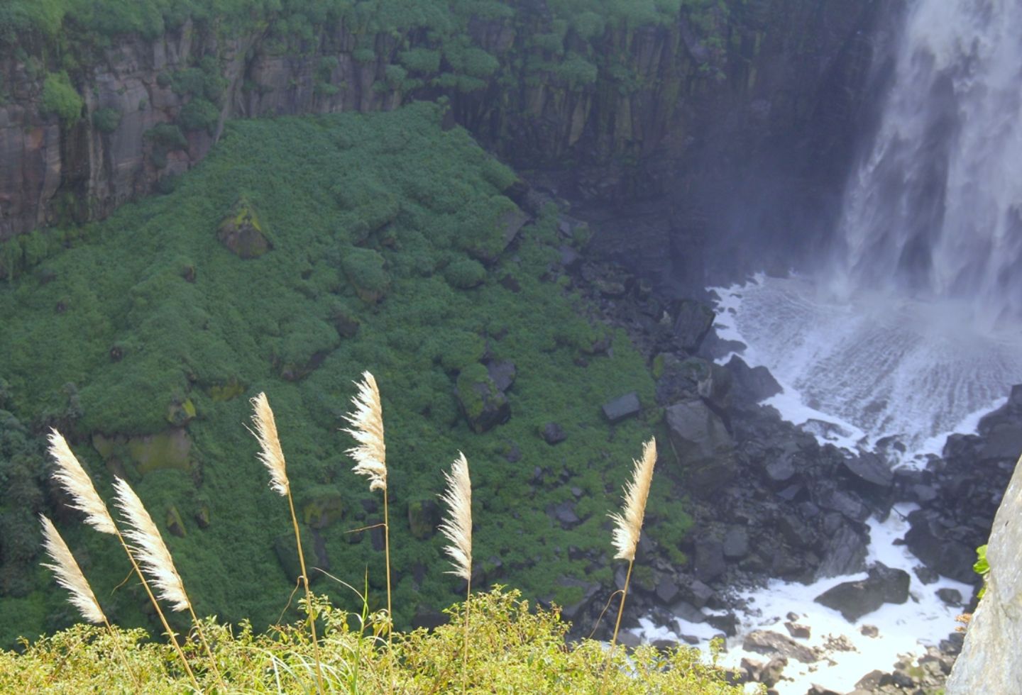 Salto Del Tequendama Declarado Patrimonio Natural De Colombia Rcn Radio
