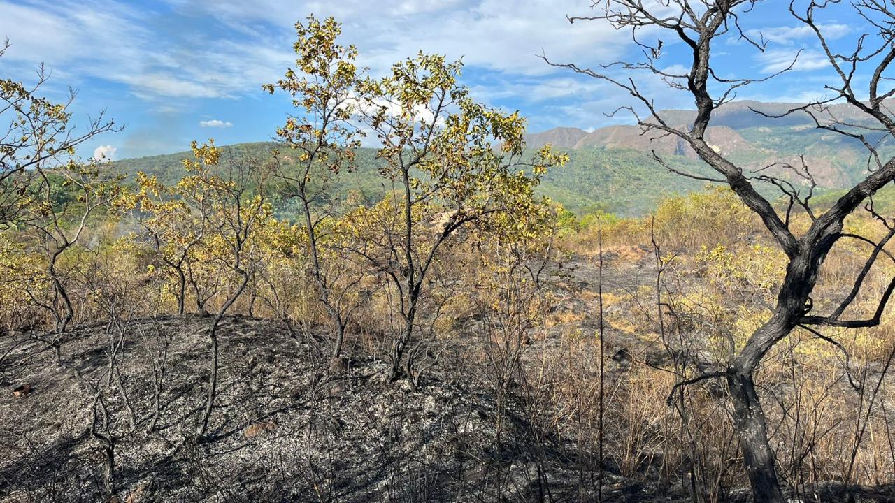 Cerca De 8000 Hectáreas Han Sido Consumidas Por Incendios En El Huila