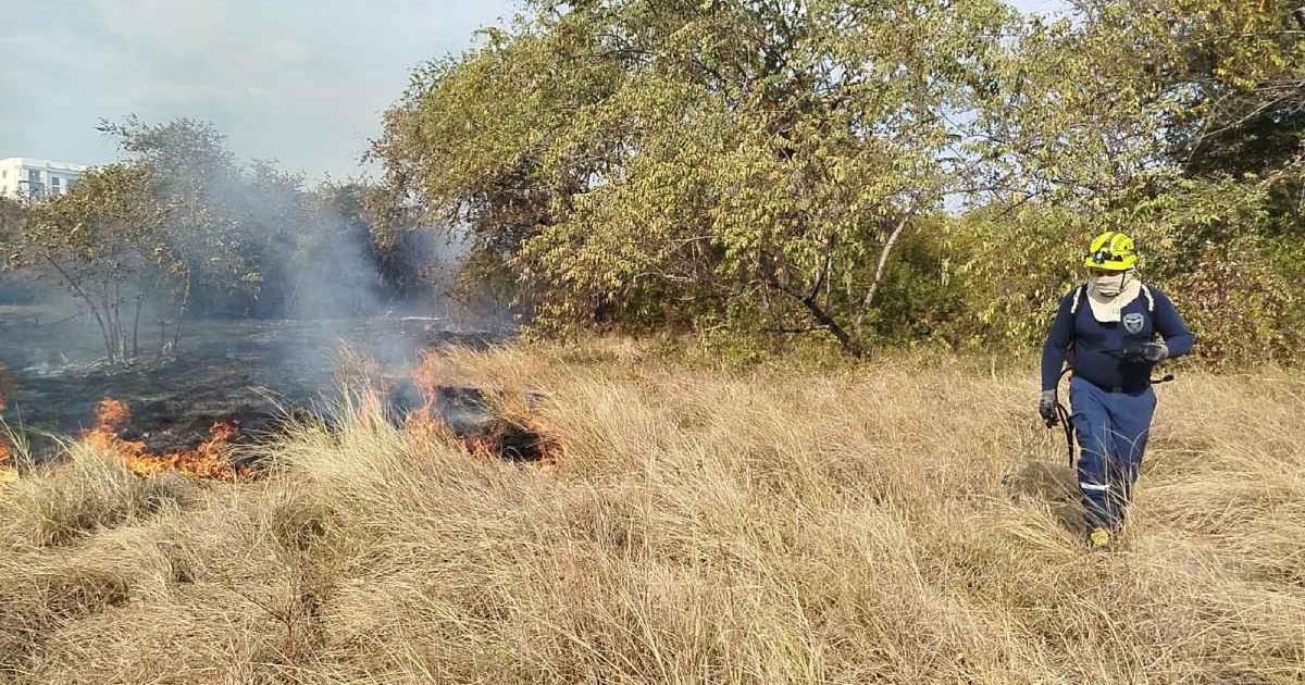 Neiva: Incendio forestal afectó el jardín botánico Neiva: Incendio forestal afectó el jardín botánico