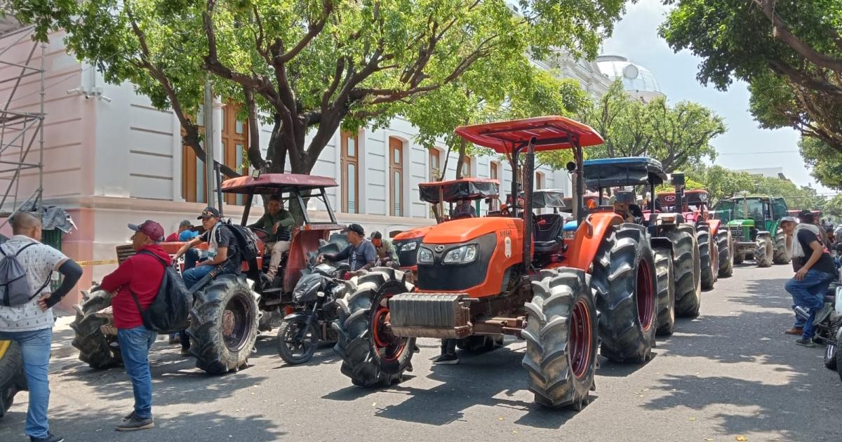 Pese al acuerdo con el Gobierno, siguen los bloqueos de los arroceros ...